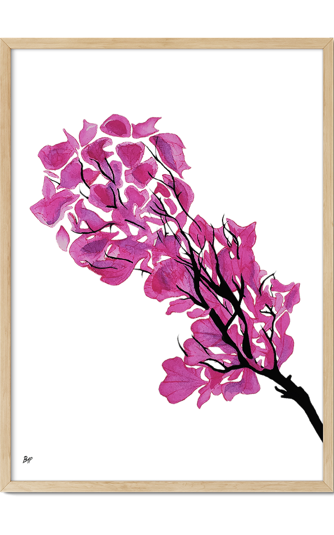 TAJY ROSADO | Venta de Cuadros Modernos | De La Paz