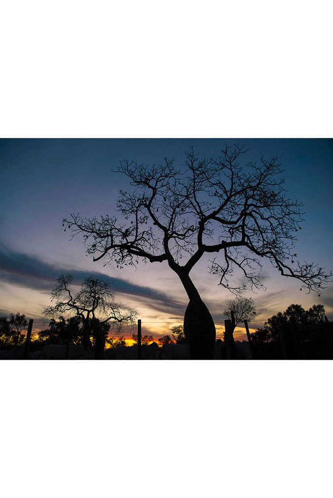 SAMU'U | Venta de Cuadros Modernos | De La Paz