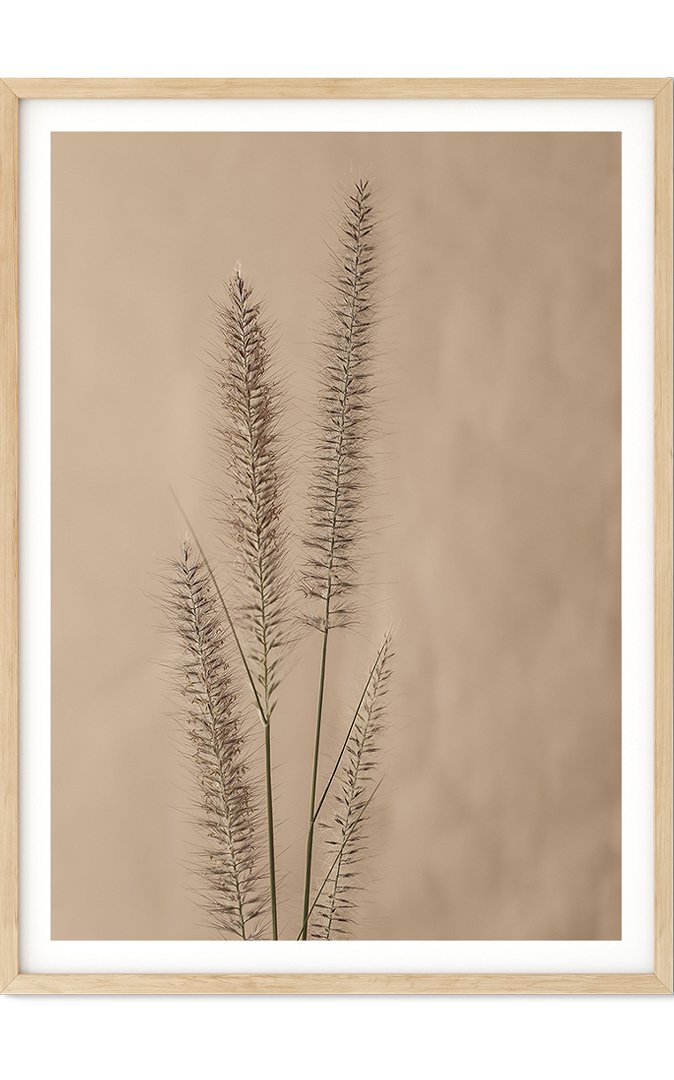 MINIMAL WHEAT II | Venta de Cuadros Modernos | De La Paz